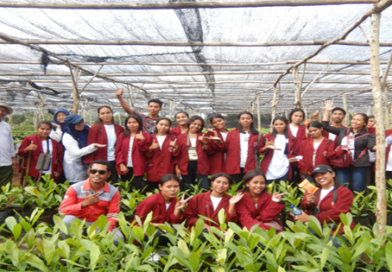 IKTL | Institut Keguruan dan Teknologi Larantuka